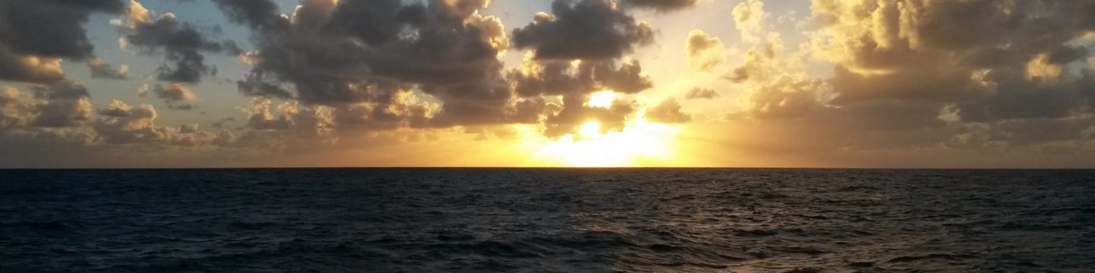 People – Gerringer Lab