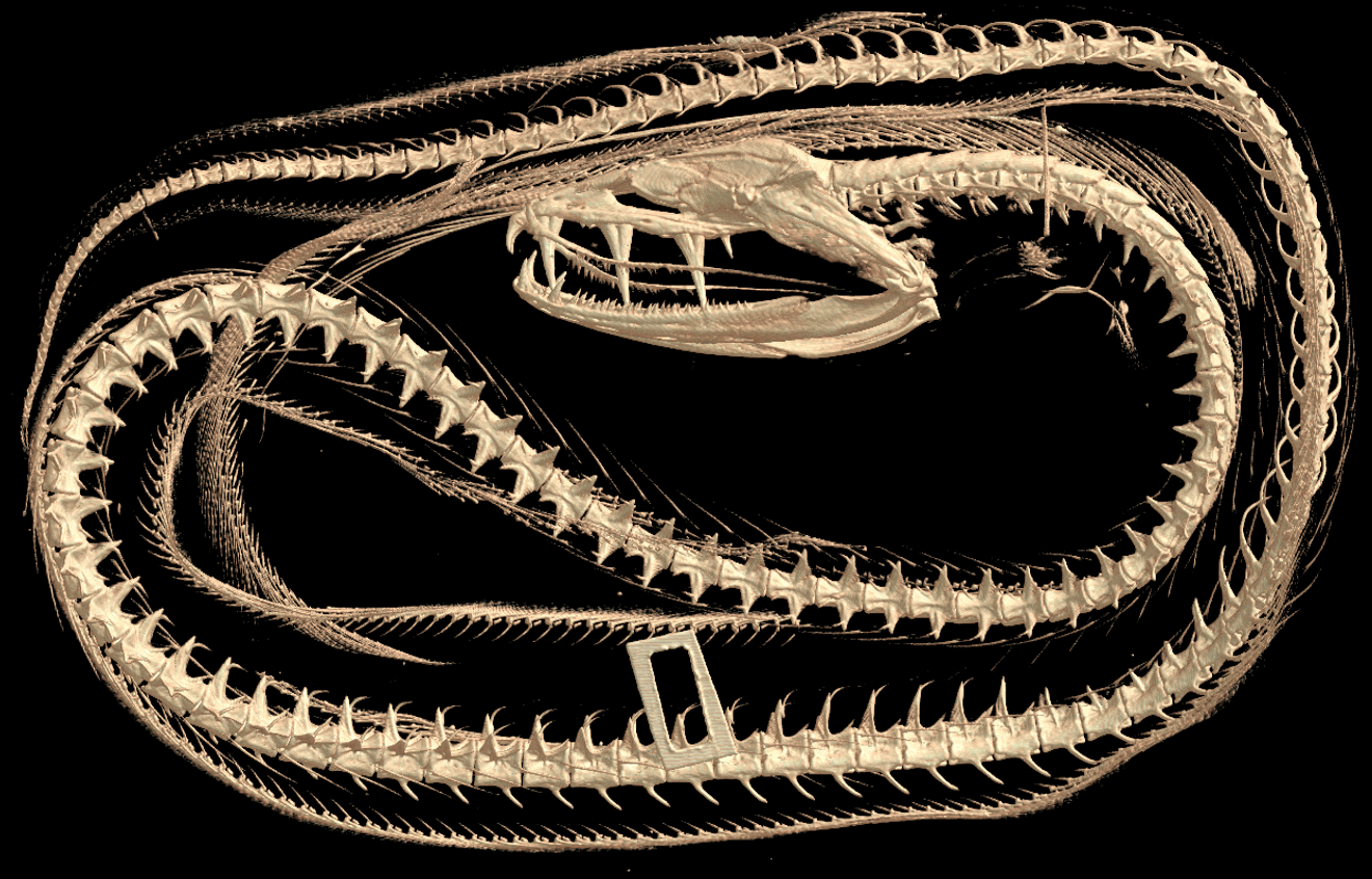 Research – Gerringer Lab